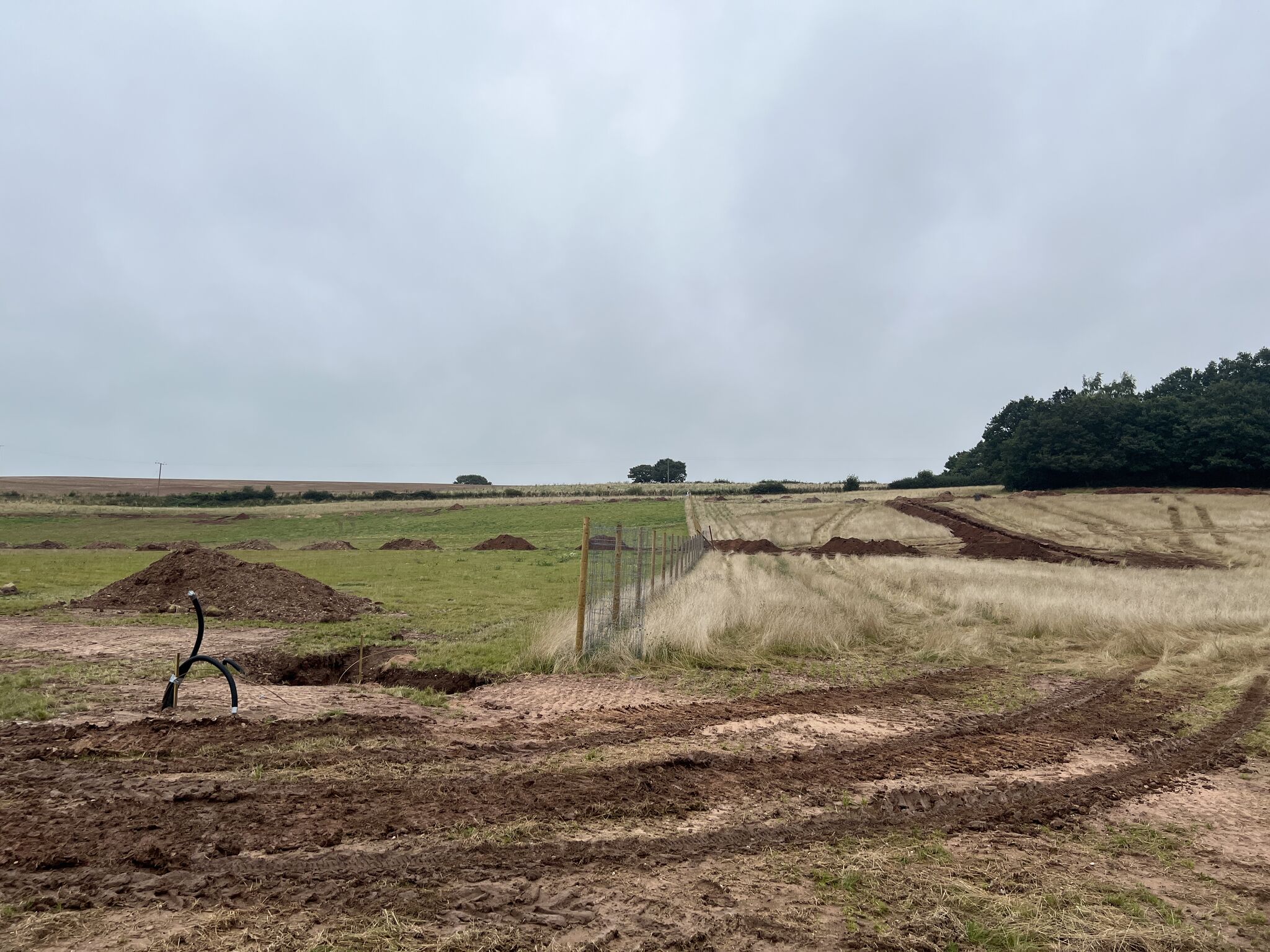 Pattingham Solar Farm - Sustainability & Renewable Energy Solutions